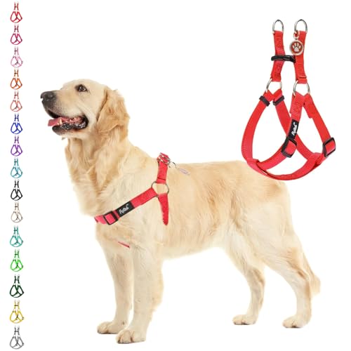 Red Dog Harness – The 15 best products compared - Wild Explained