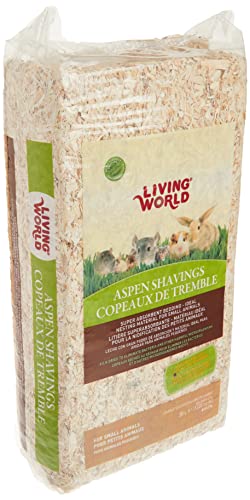 11 Rabbit Breeds that will become your best Pet Companion