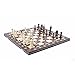 Amazon.com: Wegiel Chess Set - Consul Chess Pieces and Board - European ...