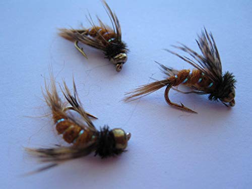 Best Trout Flies for Fall Fishing & Fall-Specific Tactics
