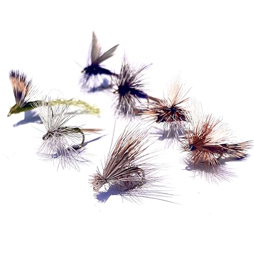 RoxStar Fly Shop Lot de 14 mouches sèches de qualité supérieure pour la ...