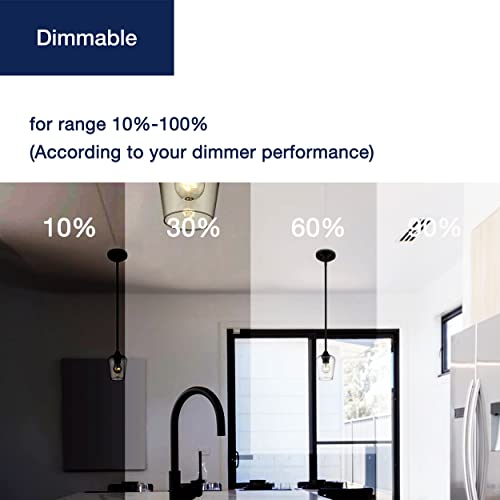 Snapklik.com : Vintage Globe LED Edison Bulbs, G25 Dimmable Flexible ...