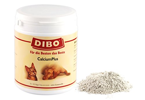 Dibo Tube – Die 15 besten Produkte im Vergleich - HundeINFOPortal