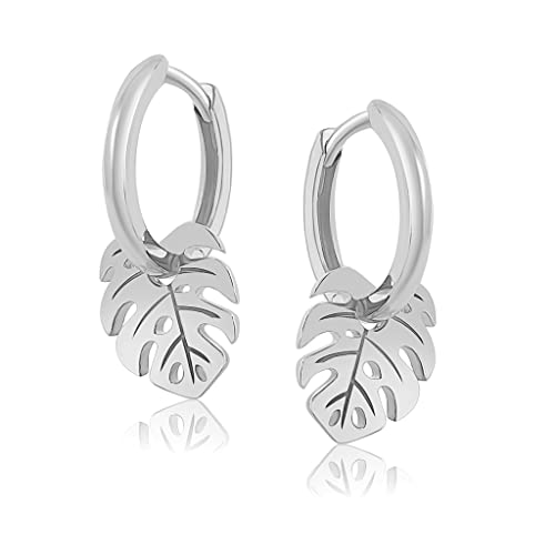 Monstera Klein – Die 15 besten Produkte im Vergleich - kita.de Ratgeber