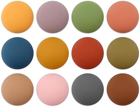 BOXOB 12pcs Strong Fridge Magnets, Round Matte Magnetic Push Pins ...