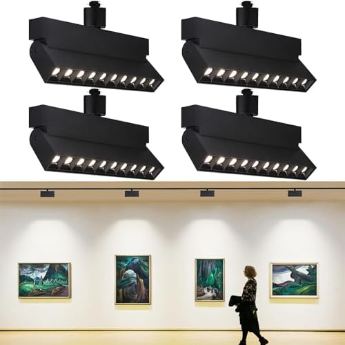LEONLITE 24W Dimmable LED Track Lighting Heads, for H Type Track Rails ...