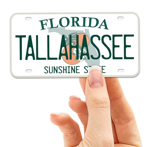 Amazon.com: Florida Bumper Stickers for Car - Waterproof Vinyl FL ...