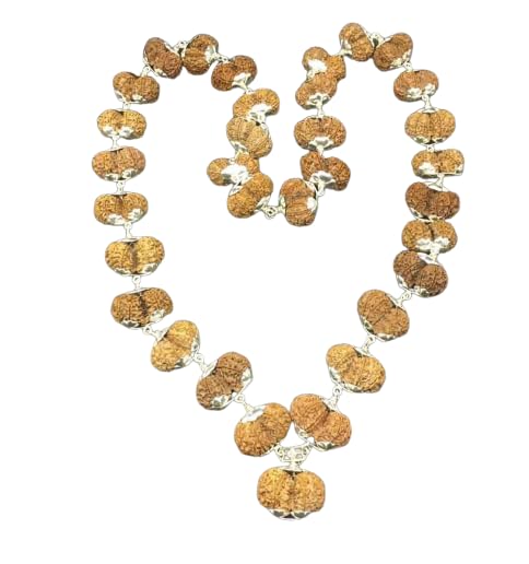 Hdbg Gauri Shankar Rudraksha Mala Original Certified by IGL Lab Pure ...