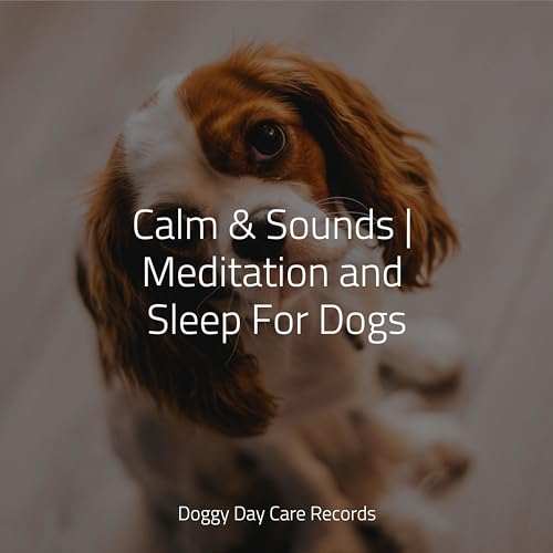 Amazon MusicでMusic For Dogs, Sleeping Music For Dogs & Music for ...