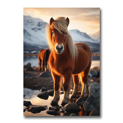 Amazon.com: Iceland Landscape Print, Icelandic Horse Wall Art Poster ...