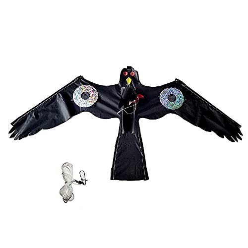 Amazon Best Sellers: Best Kites