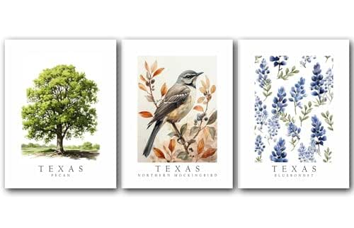 Amazon.com: Texas Symbols, Northern Mockingbird, Bluebonnet Flower ...