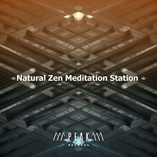 Écouter Natural Zen Meditation Station de Natural Zen Meditation White ...