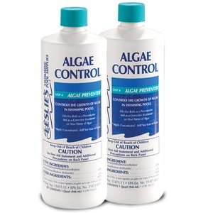 Find The Best Algae Control For Pool Reviews & Comparison - Katynel