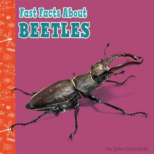Fast Facts About Beetles: Fast Facts About Bugs & Spiders (Audio ...