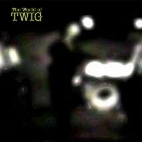 Amazon.com: The World of Twig : The World of Twig: Digital Music