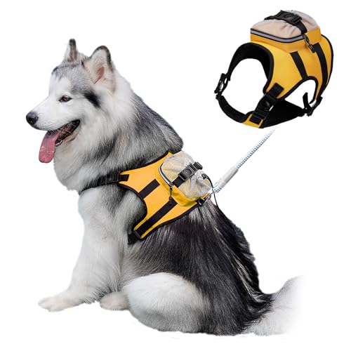 Dog Harness with Pockets – The 15 best products compared - Wild Explained