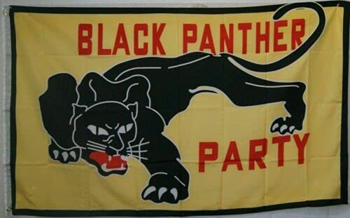 Amazon.com : Let it Fly Black Panther Party Flag 3' x 5' gold : Patio ...