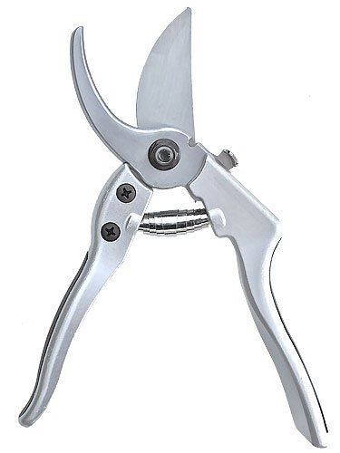Amazon.com : Woman's Pro By-Pass Pruner - Spring Loaded Lock - Easy One ...
