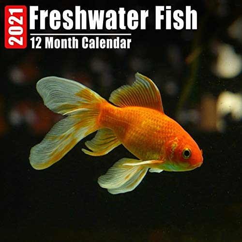 Calendar 2021 Freshwater Fish Cute Freshwater Fish Photos Monthly Mini ...