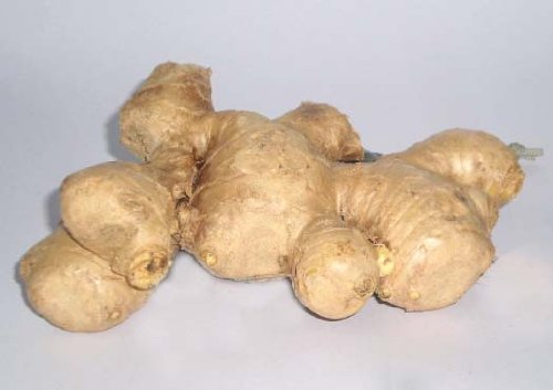 Amazon.com : Ginger Fresh 14 Oz : Ground Ginger Spices And Herbs ...