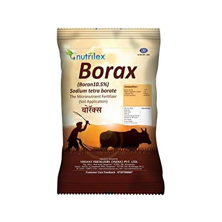 Borax Worlds top Imported Balanced Soil Boron Fertilizer for All Plants ...