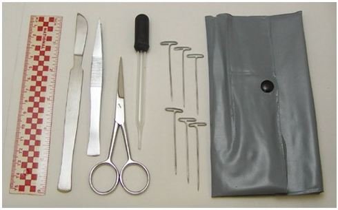 Classroom Set of 10 Basic Dissecting Kits: Science Lab Dissecting ...
