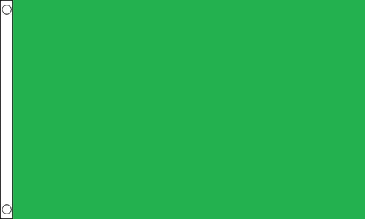 Plain Green Flag - 5 x 3 FT - 100% Polyester With Eyelets Banner ...