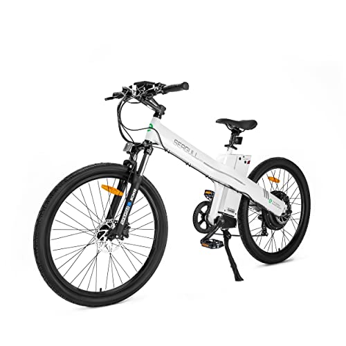 The 10 Best 26 inch Electric Bikes