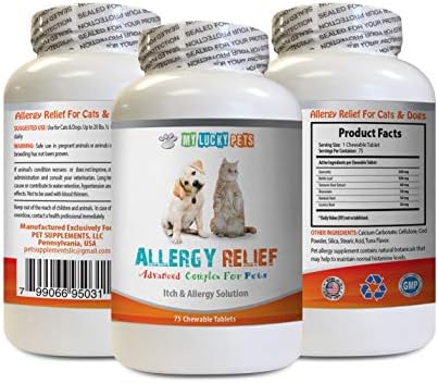Amazon.com : Dog Allergy Tablets - PET Allergy Relief - for Dogs and ...