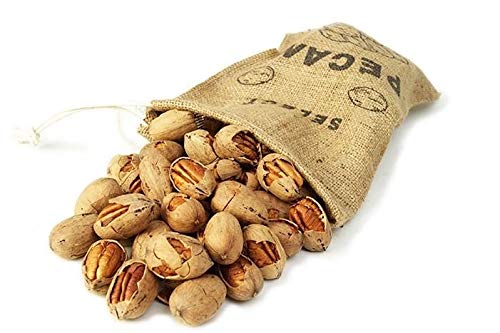 Amazon.com : Texas -Cracked- Pecans with Shell 3-Pound with Burlap Bag ...