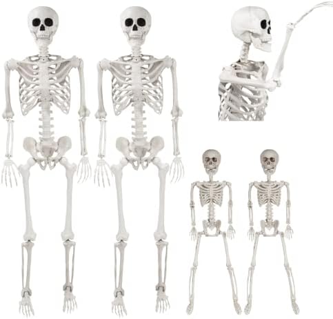 Amazon.com: Posable Life Size Human Skeleton Family Set of 4-2 Adult (5 ...