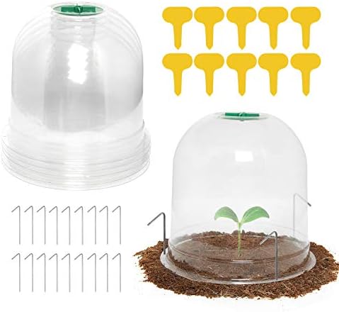 Amazon.com : 30 Pack Garden Cloche Plant Dome Cover,Thickened PVC ...