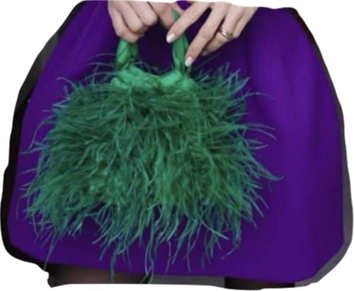 Amazon.com: FURINFASHION ME-05 Fashionable Big Fluffy Purse For Women ...