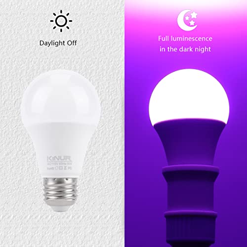 Encuentra Luz Led Morada