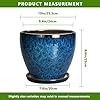 Amazon.com : EPFamily 10 Inch Ceramic Planter Pot Round Plant Pot for ...