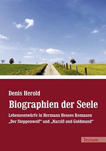 Buy Biographien Der Seele: Lebensentwurfe in Hermann Hesses Romanen ...