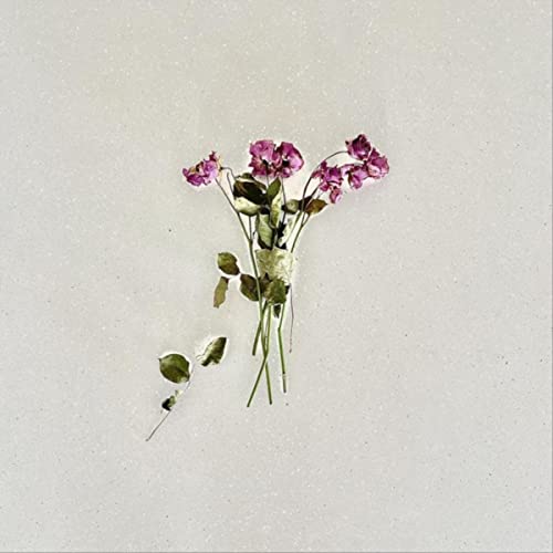 Play Your Eyes by Nate Wayne on Amazon Music