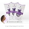 Amazon.com: Luminara Fragrance Diffusing Pods, Set of 3 (Lavender ...