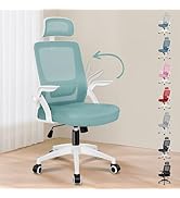 ALFORDSON Sedia da Ufficio Ergonomica per Home Office, Sedia in Rete ...