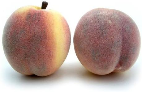 Amazon.com: Artificial Peach, Box of 12 : Home & Kitchen