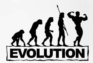 Amazon.com: EVOLUTION VINYL STICKER : Sports & Outdoors