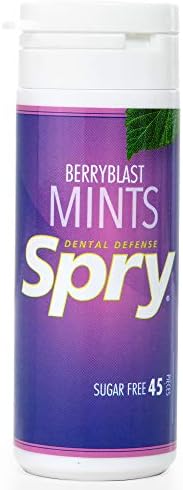 Amazon.com : Spry Xylitol Mints, Natural Berry Blast, 45ct : Breath ...