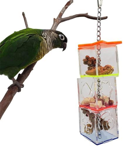 ZYYRSS Bird Foraging Toys,Creative Parrot Feeder Box,Hanging Treat ...