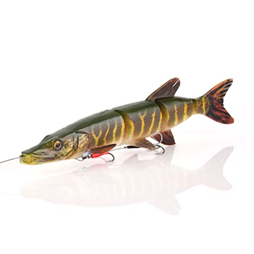 Pike Fishing for Beginners: 17 Things Every Angler (Must-Read)