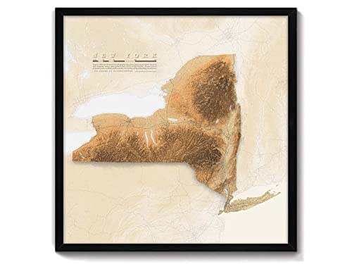 Amazon.com: GeoJango Maps, New York Elevation Shaded Relief Map, 24x24 ...
