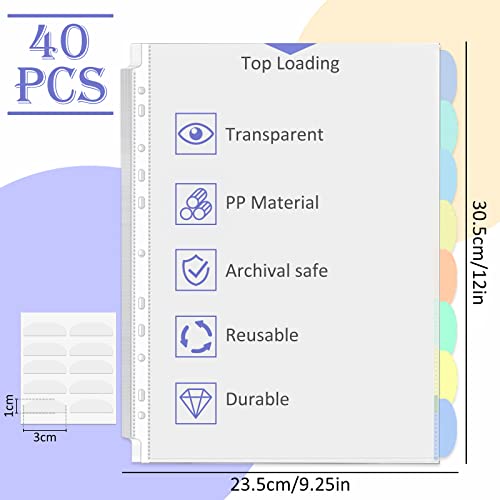 Snapklik.com : 5 Set Of 40 Pack A4 Plastic Sleeves Binder Index ...