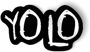 Amazon.com: YOLO Texting Funny Sticker Vinyl Decal Car Bumper Window 5 ...