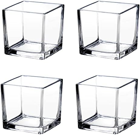Amazon.com: plant Square Glass Vase Clear Flower Decorative Centerpiece ...