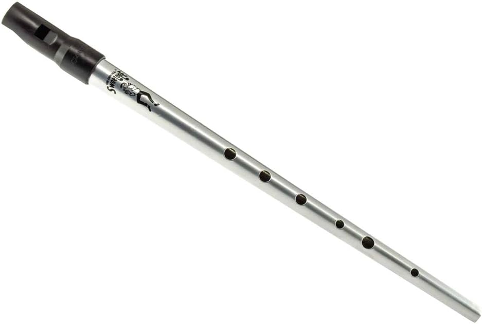 Amazon.com: Dixon Alloy C Tin Whistle : Musical Instruments